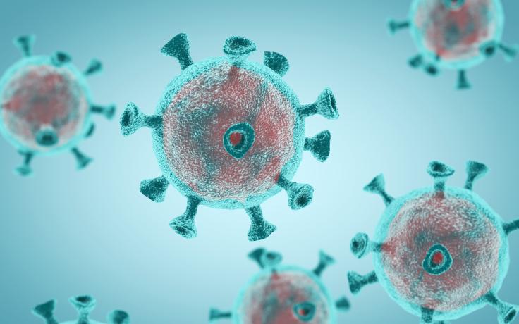 Coronavirus (COVID-19) information hub | IRU | World Road Transport ...