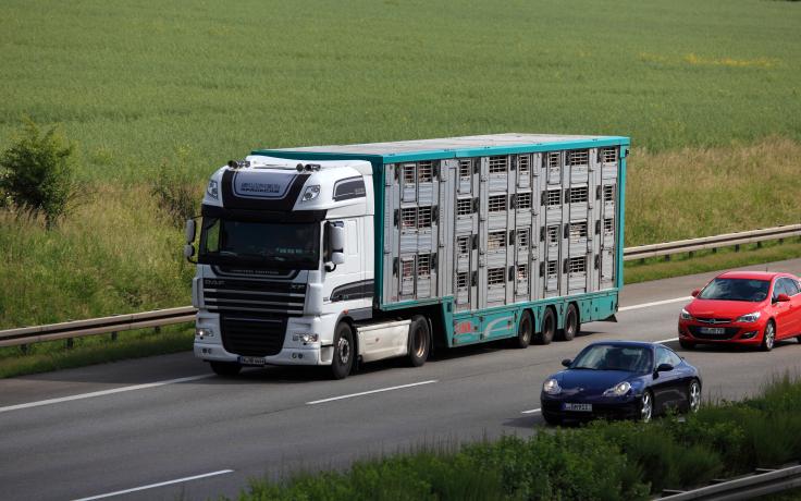 Live animal transport: European Commission tables improved conditions ...
