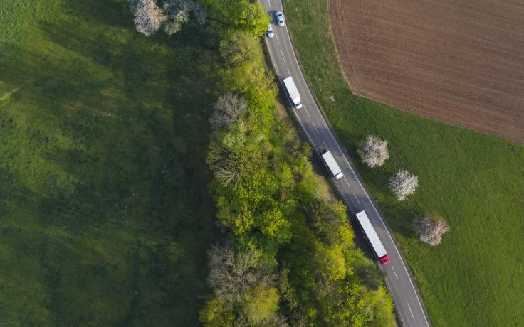 Transport and logistics companies decarbonise: Progress and future ...